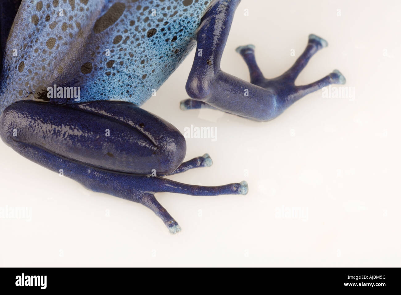 Centurion portrait hi-res stock photography and images - Alamy