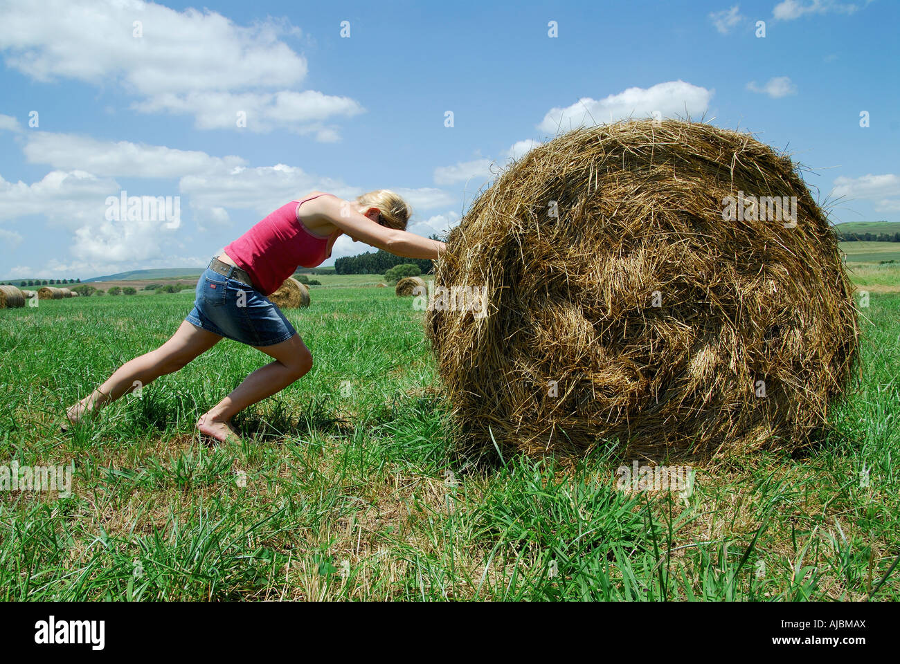 South african farm hi-res stock photography and images - Alamy