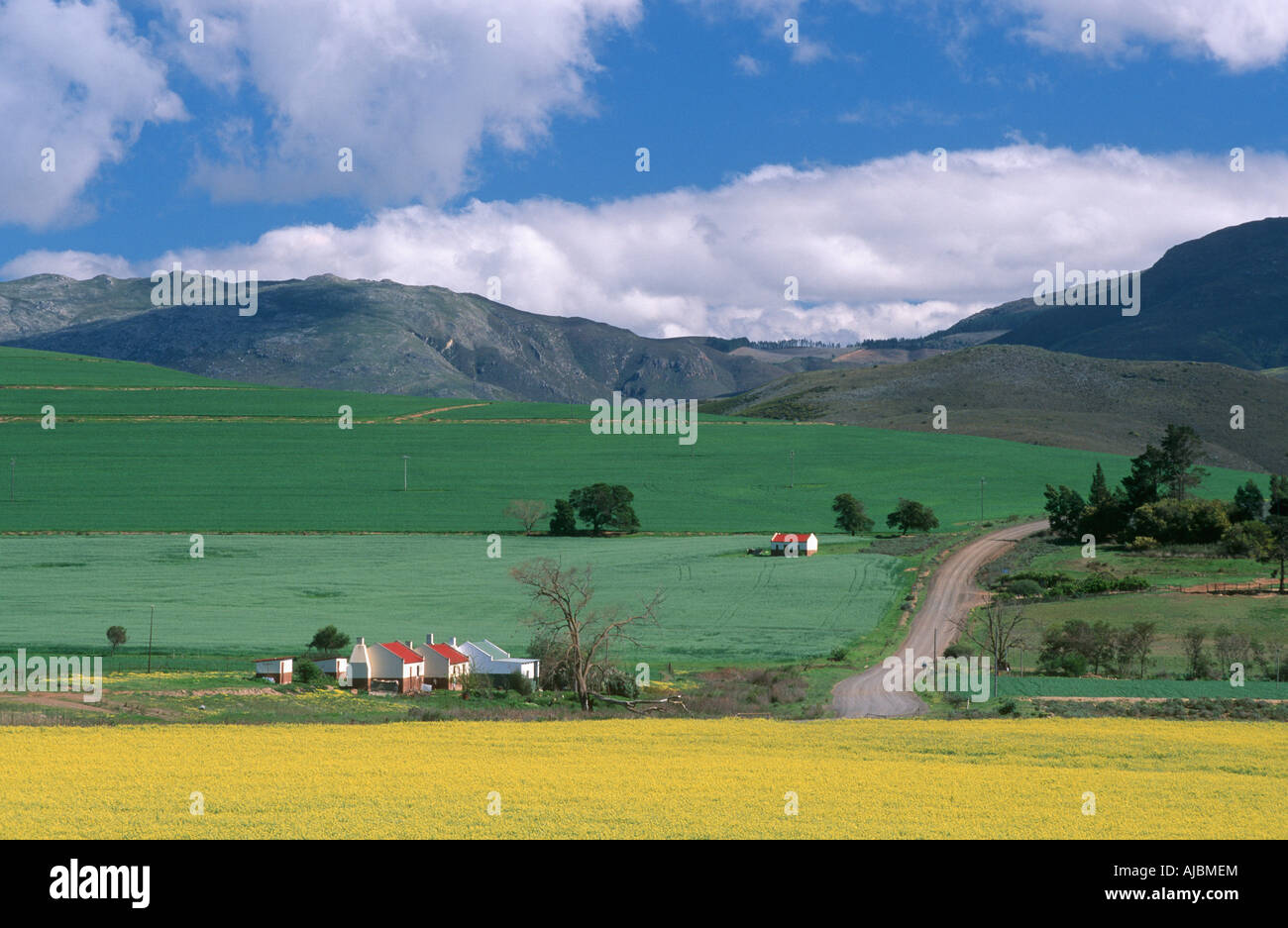 Farm Cottages and Rolling Green & Yellow Fields Stock Photo - Alamy