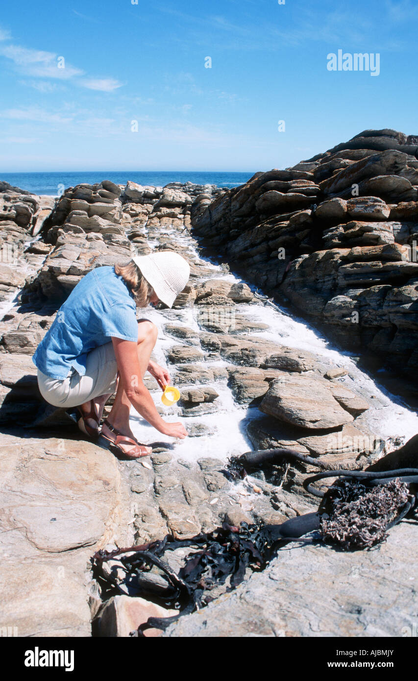 Woman Collecting Dried Sea Salt on the Rocks Stock Photo - Alamy