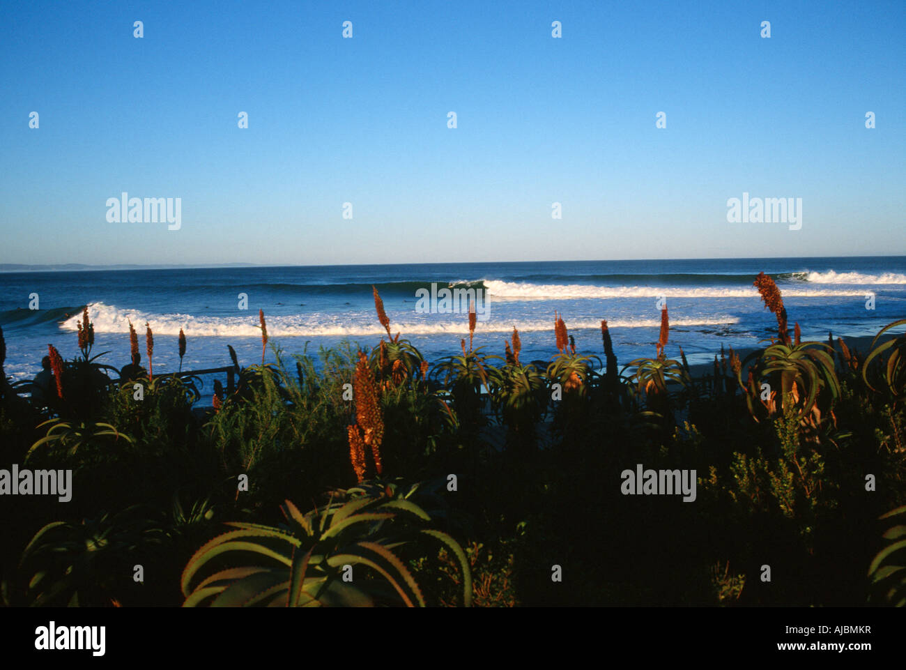 Scenic View of the Ocean with Waves Breaking on Beach Stock Photo - Alamy