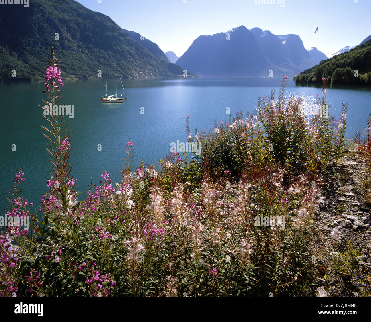 Sogn og fjordane fylke hi-res stock photography and images - Alamy