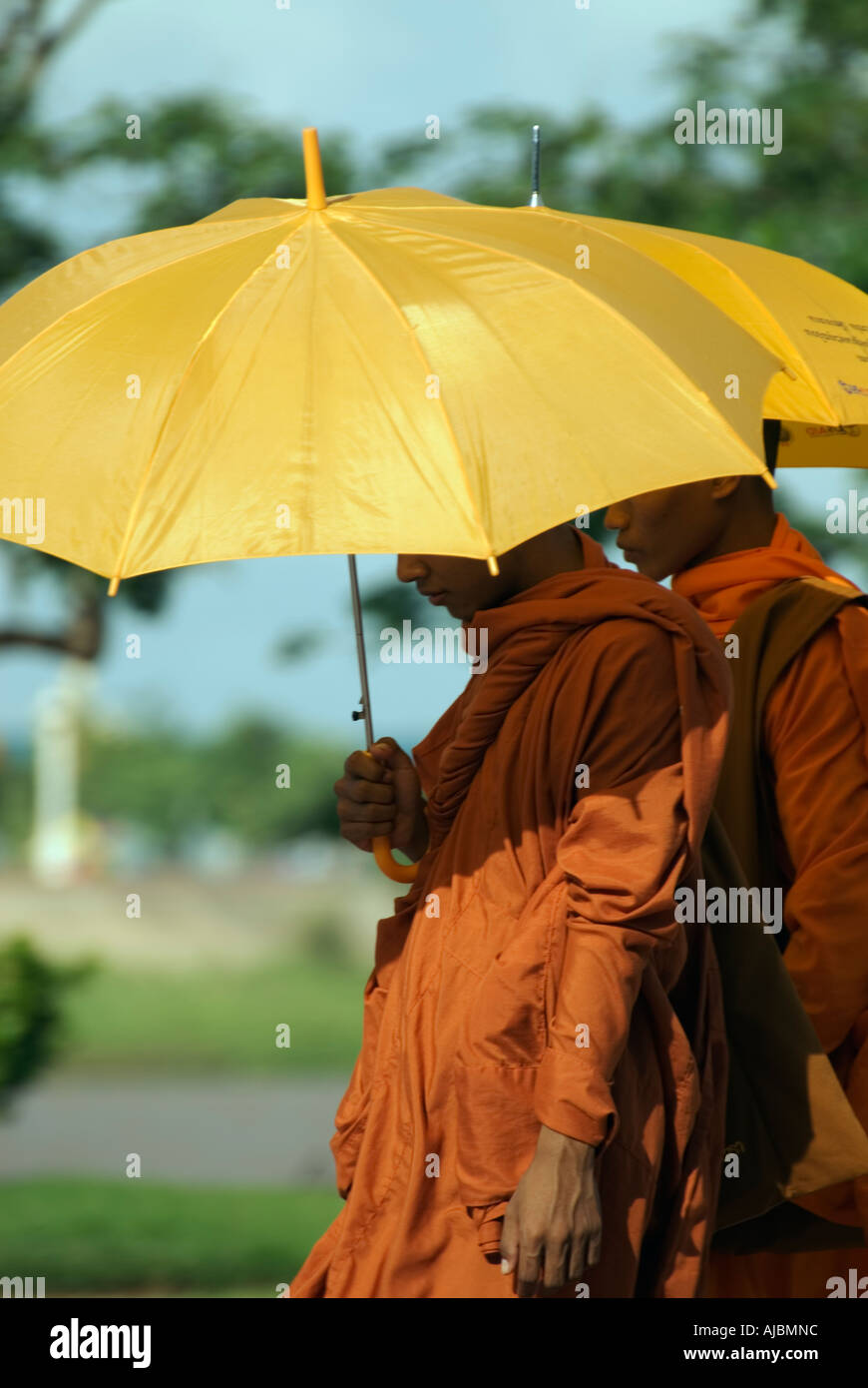 Cambodia Closeup Of Young Buddhist Monks Walking Holding Umbrellas ...