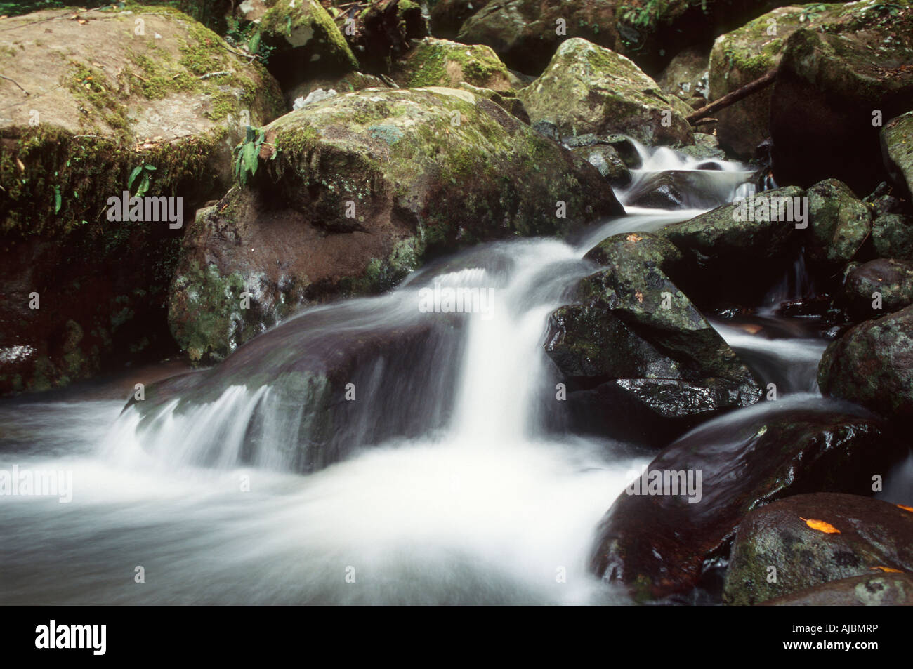 Rushing Water From a Waterfall with Slow Exposure Stock Photo - Alamy