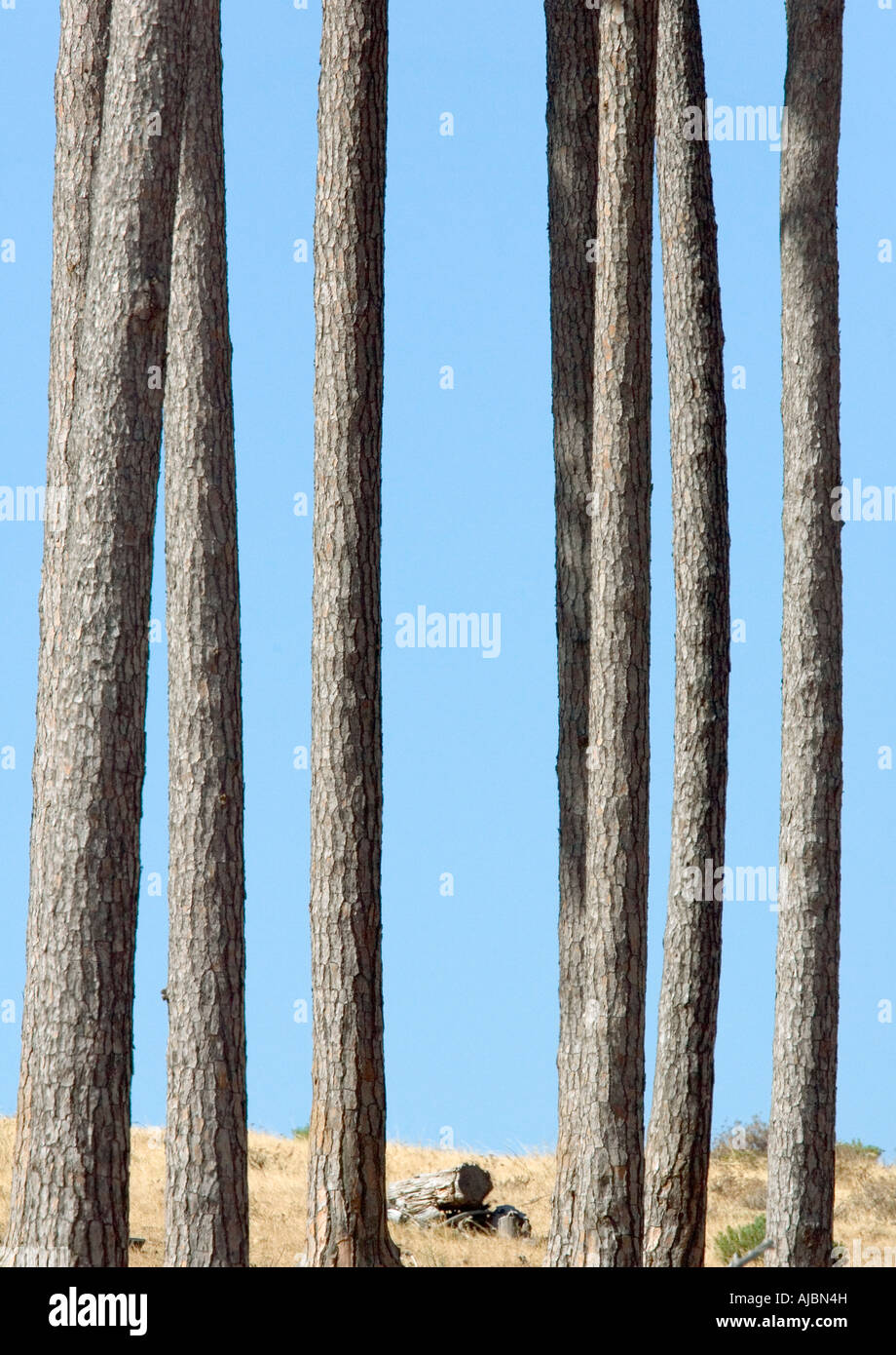 Medium height mountain hi-res stock photography and images - Alamy