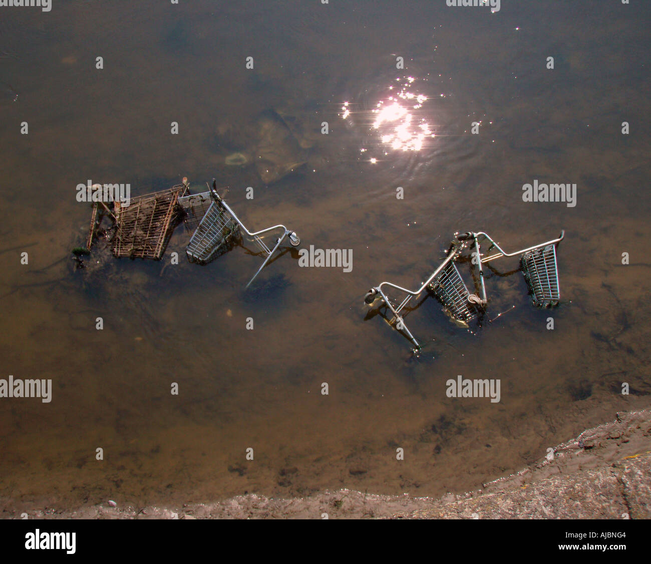Four weed covered supermarket trolleys dumped in act of vandalism on ...