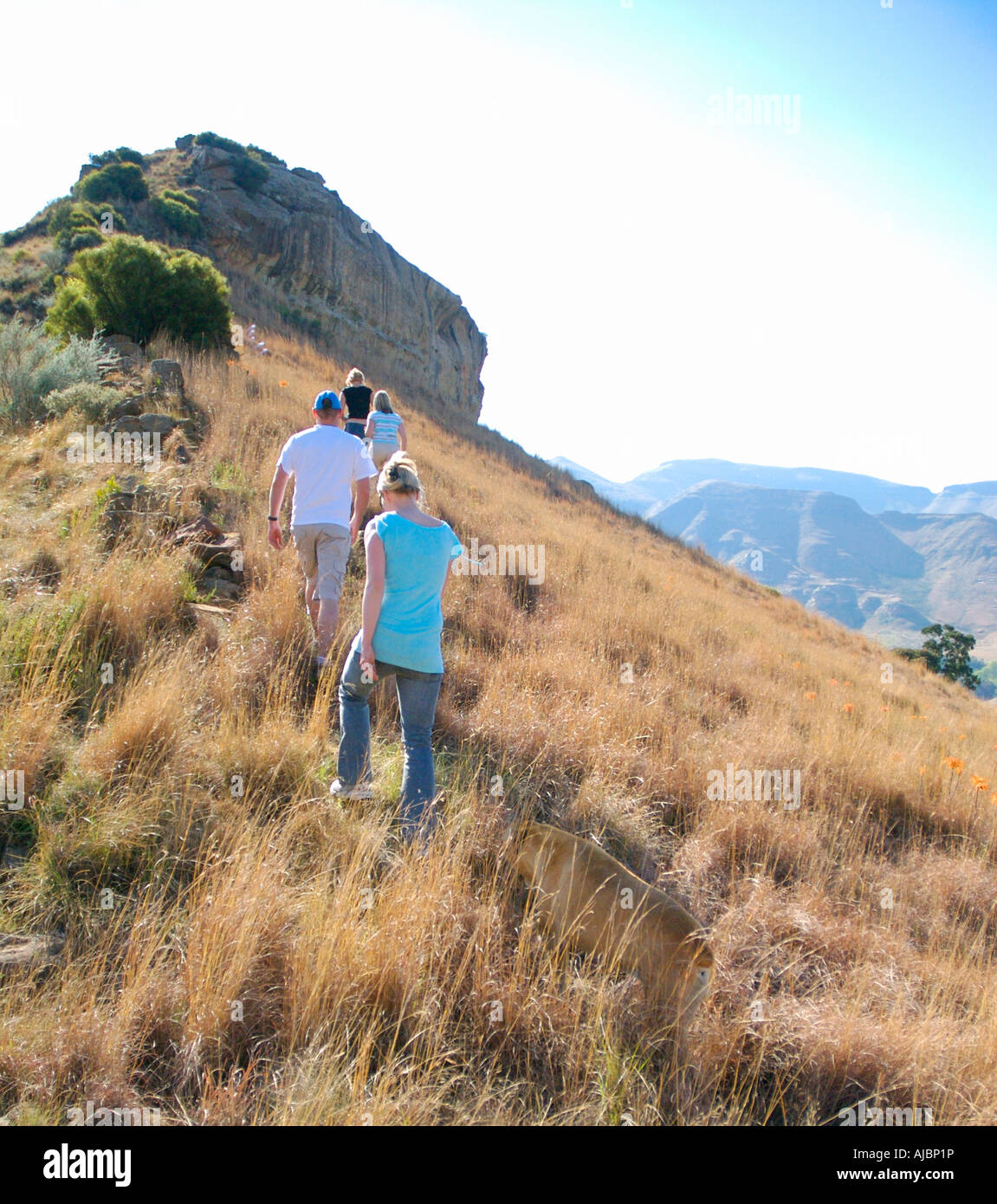 People Hiking up Grassy Ridge Stock Photo - Alamy