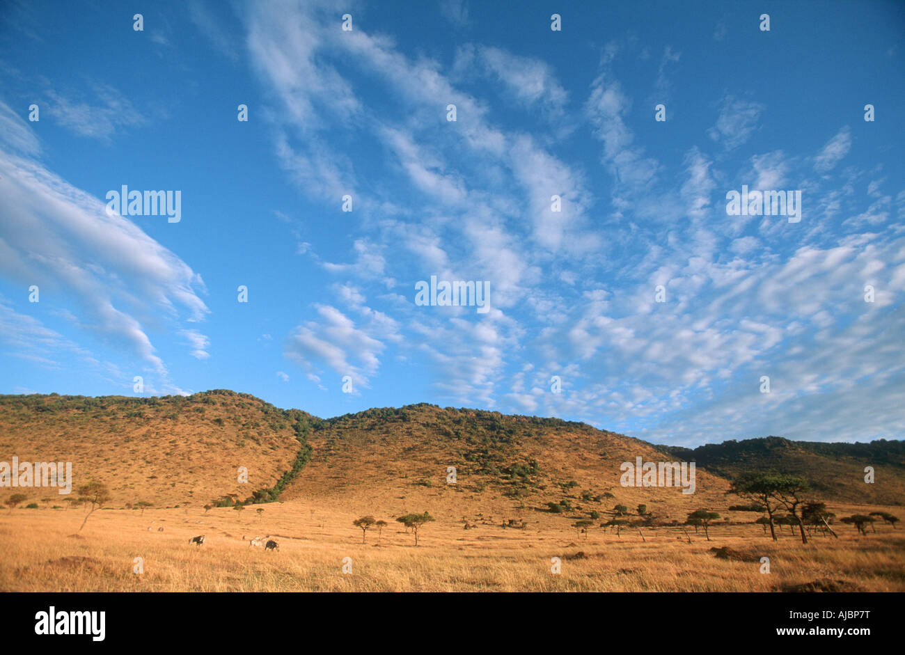 Oloololo Escarpment High Resolution Stock Photography and Images - Alamy