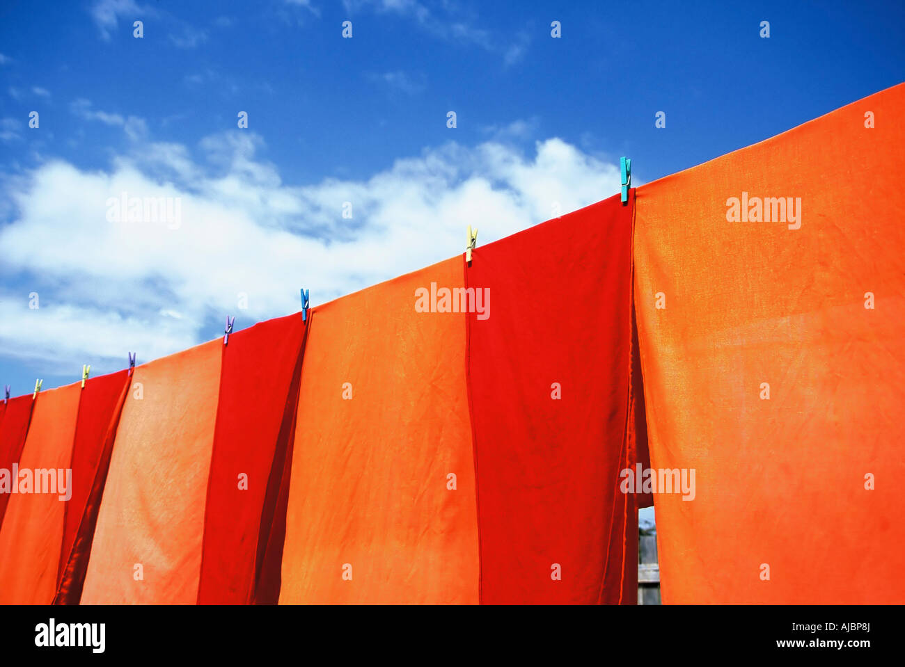 Samburu tribe pattern hi-res stock photography and images - Alamy