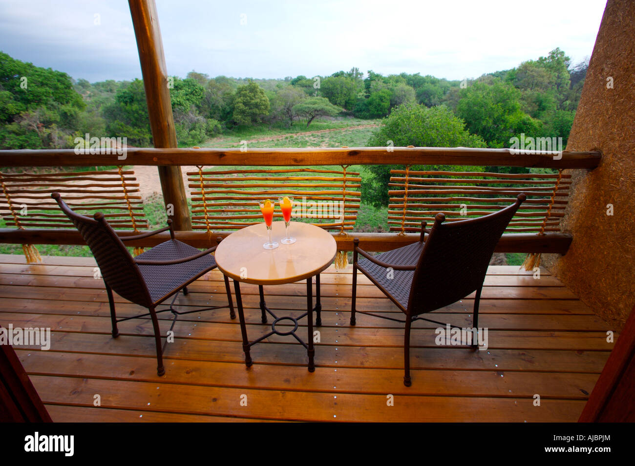 Idyllic View of African Bushveld from a Patio with Table and Chairs and ...