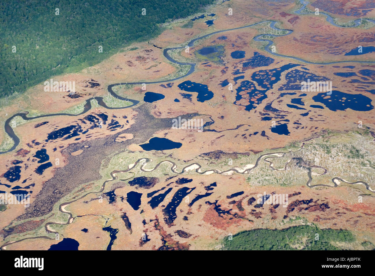 Aerial View of Peat Bog (Wetlands) in Ushuaia Stock Photo - Alamy