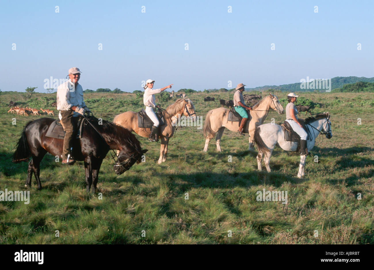 Safari man horse hi-res stock photography and images - Alamy