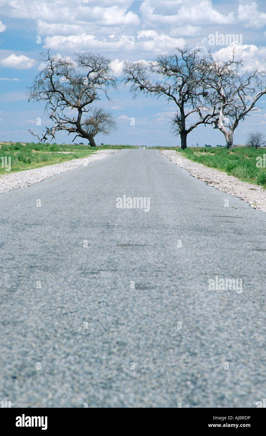 Between two trees hi-res stock photography and images - Alamy