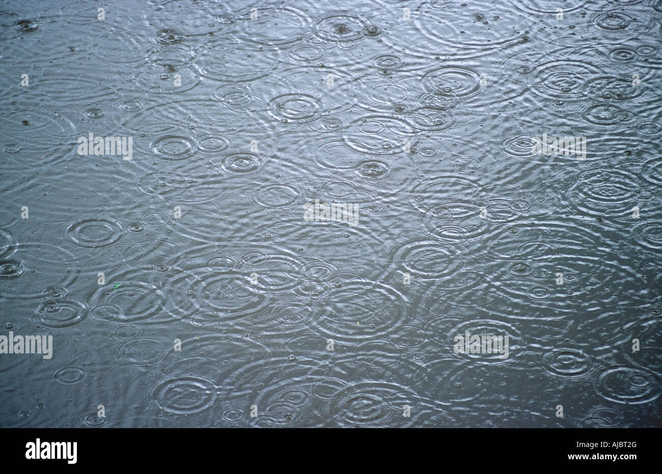 Raindrops in a Water Puddle Stock Photo - Alamy