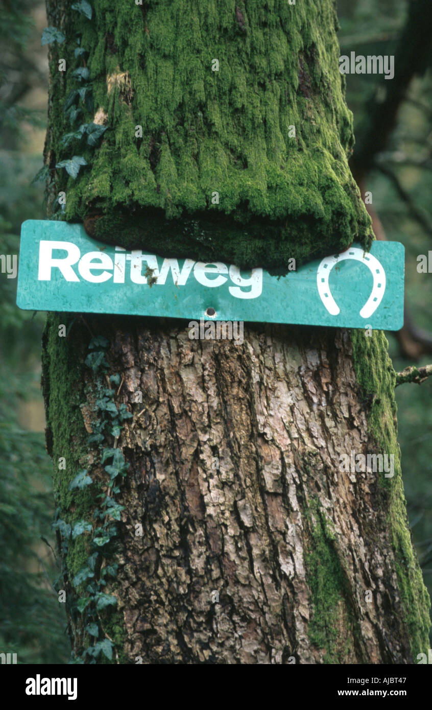 Bridle path hi-res stock photography and images - Alamy