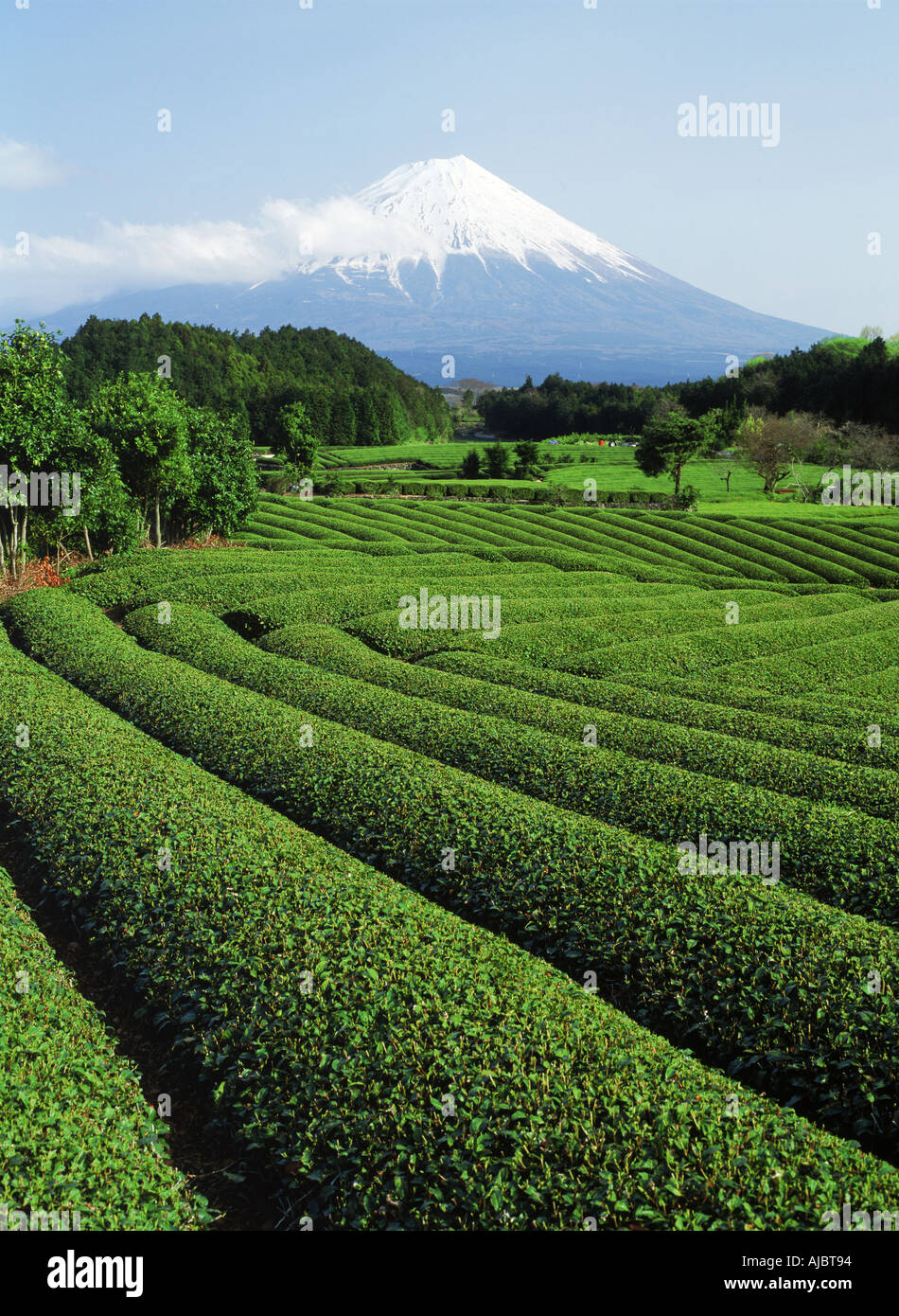 Honshu island islands hi-res stock photography and images - Alamy