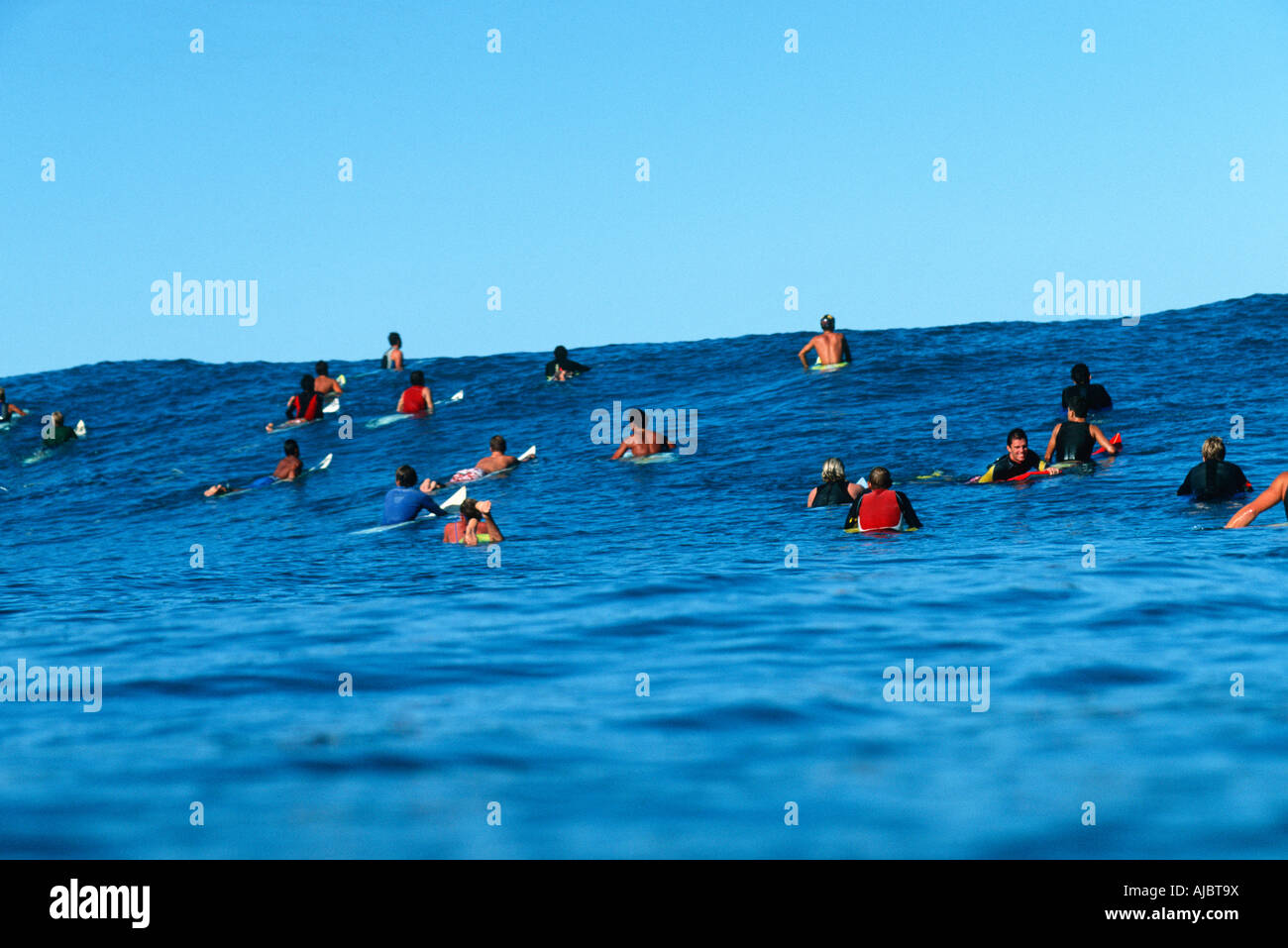 Surfers Floating in the Ocean Waiting for Waves Stock Photo - Alamy