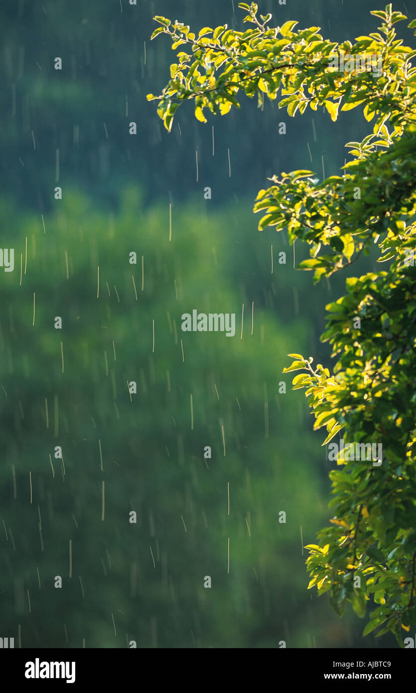Summer precipitation hi-res stock photography and images - Alamy