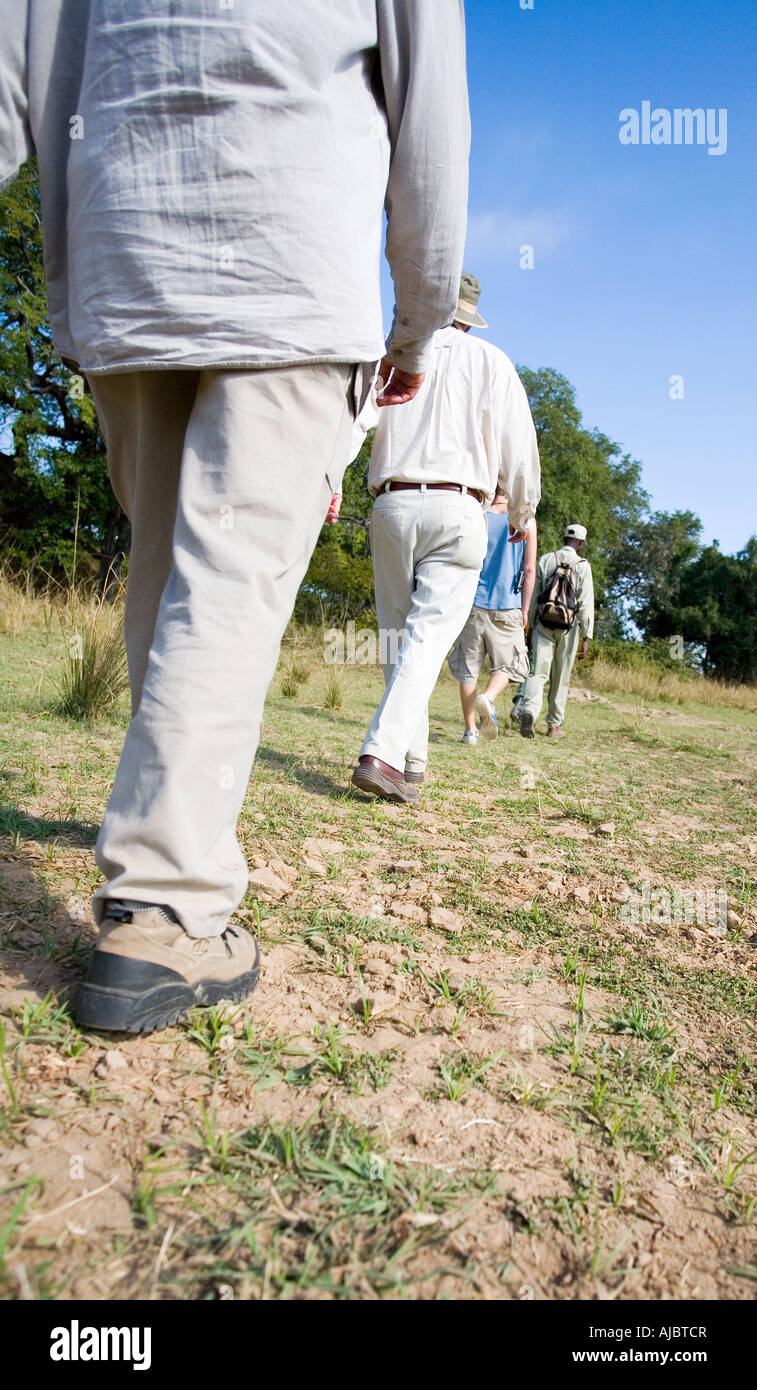 Tourists on a Guided Wildlife Walk - Low Angle Rear View Stock Photo ...