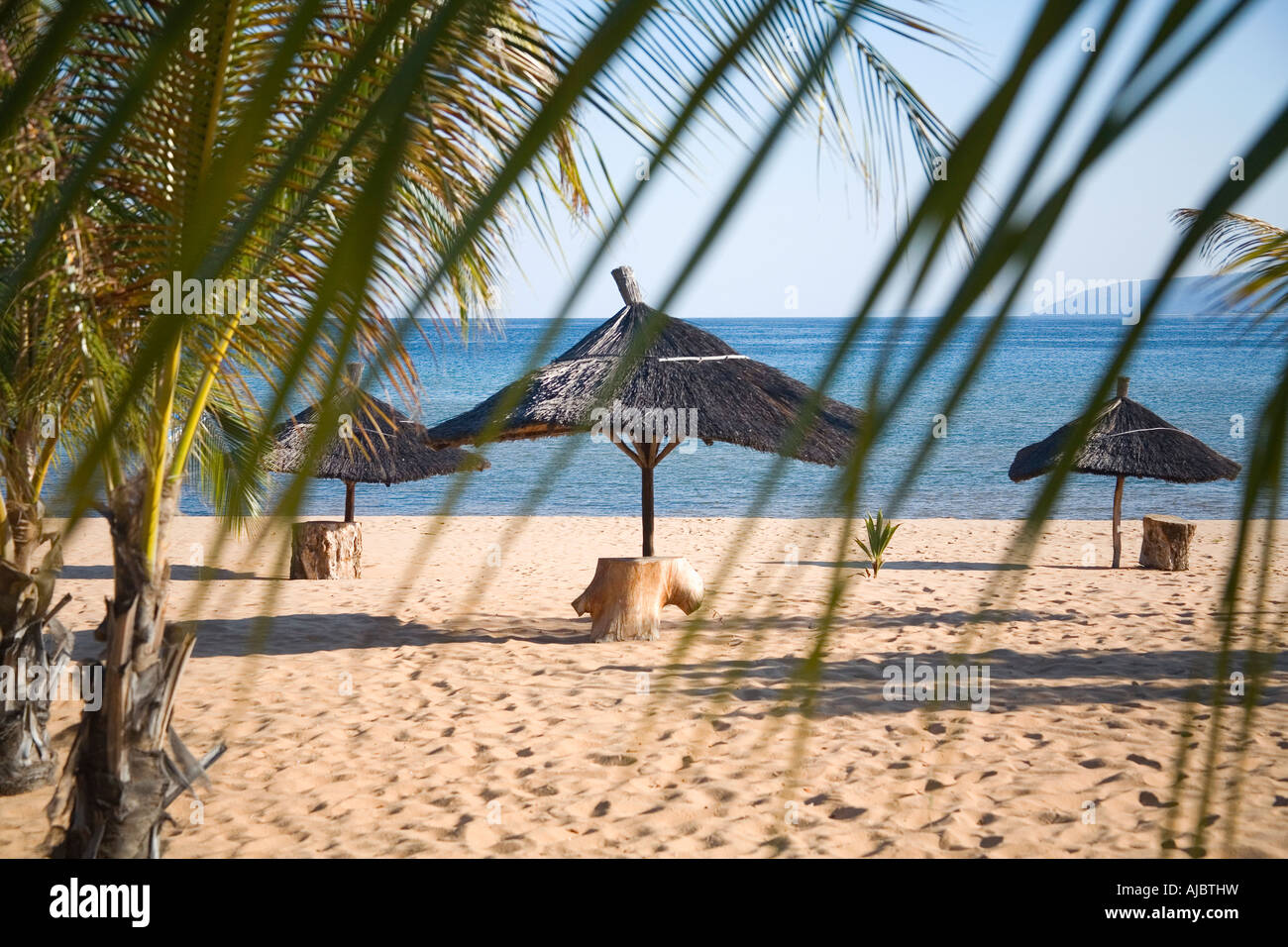 View of Beach Huts at Isanga Bay Beach Through Palm Leaves Stock Photo ...