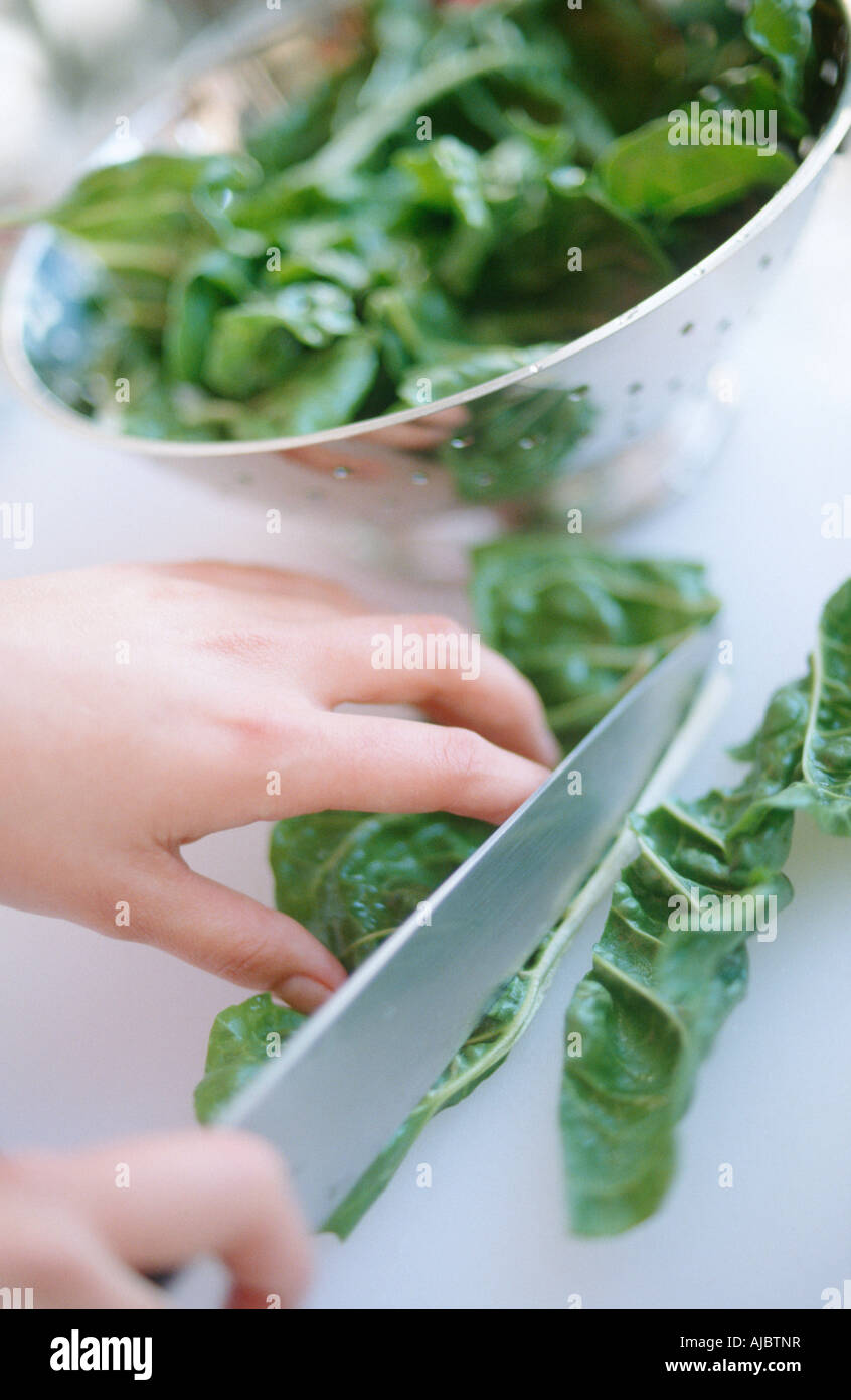Woman Cutting Spinach Leaves - Close-up Stock Photo - Alamy
