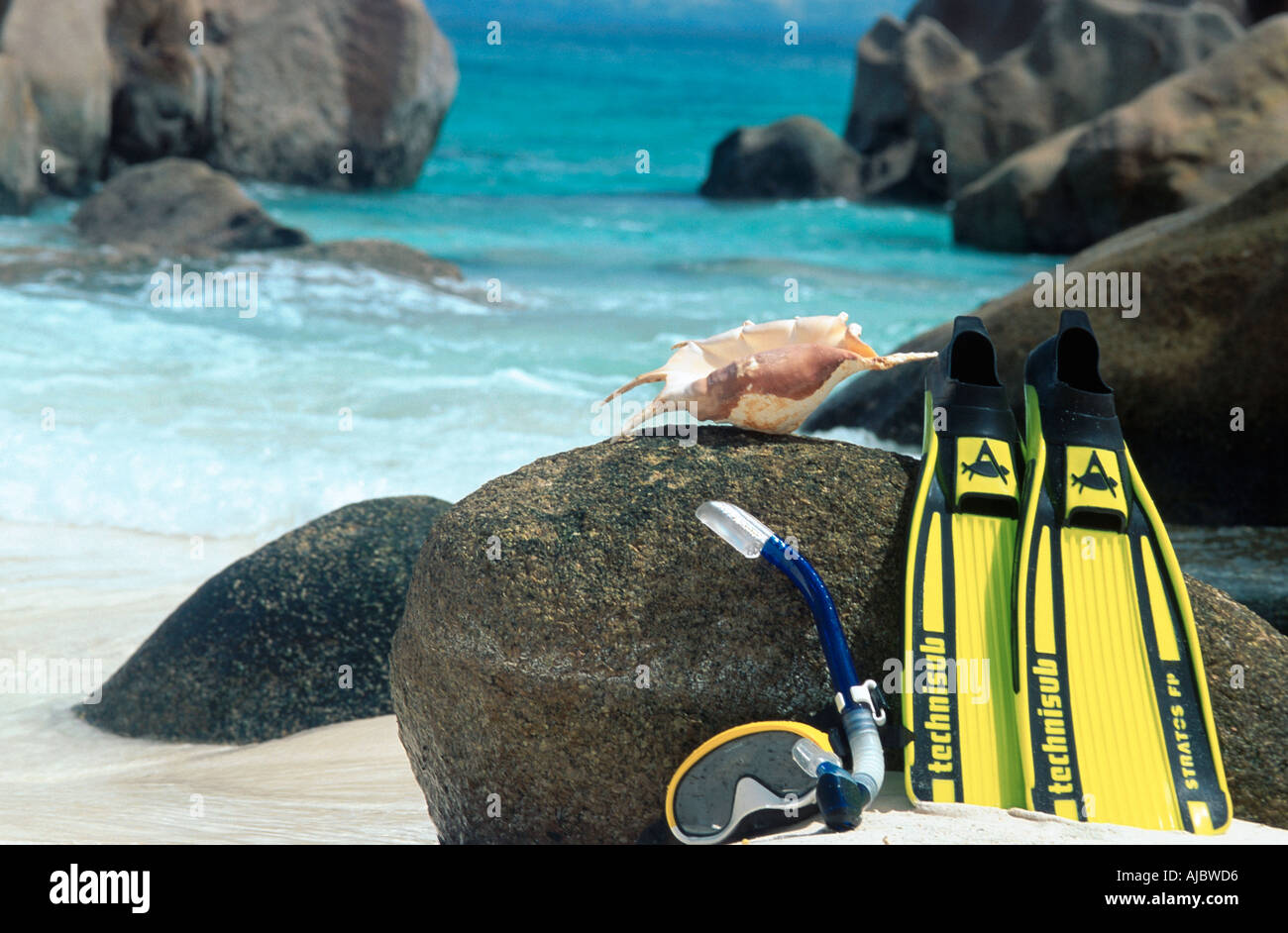 snorkeling equipment and shell on beach Stock Photo - Alamy