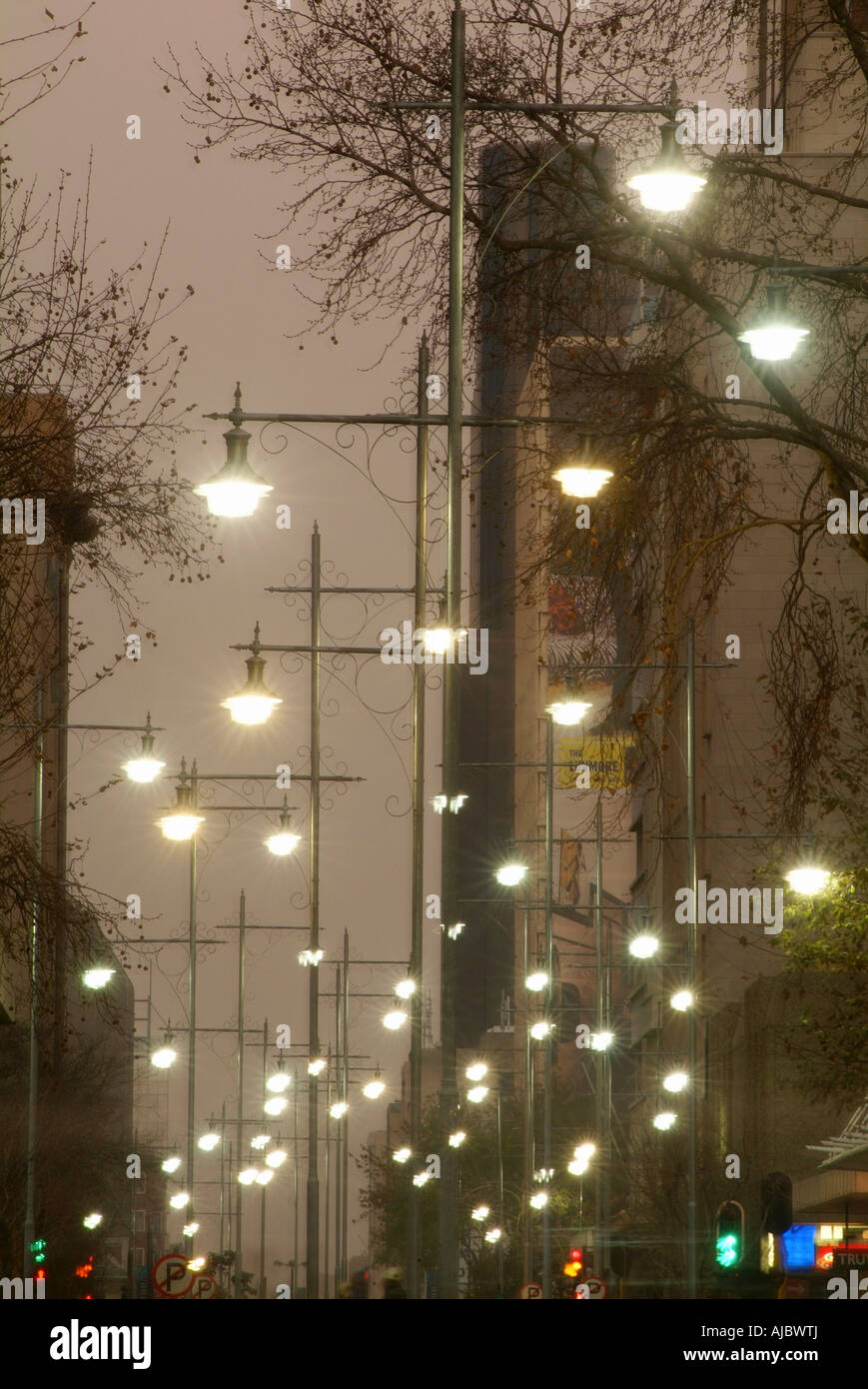 Tree lit by streetlight hi-res stock photography and images - Alamy