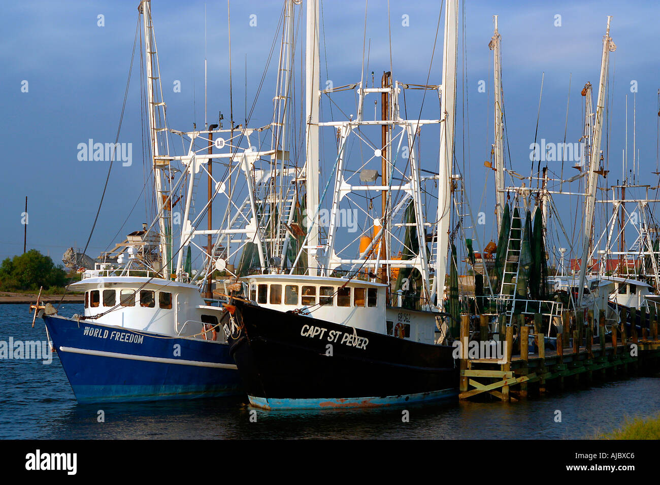 Fishing Fleet at Dock Shrimp Boats Ships Transportation Stock Photo - Alamy