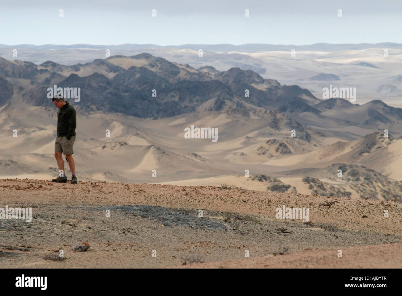 Lone Male Tourist on a Desert Safari Stock Photo - Alamy