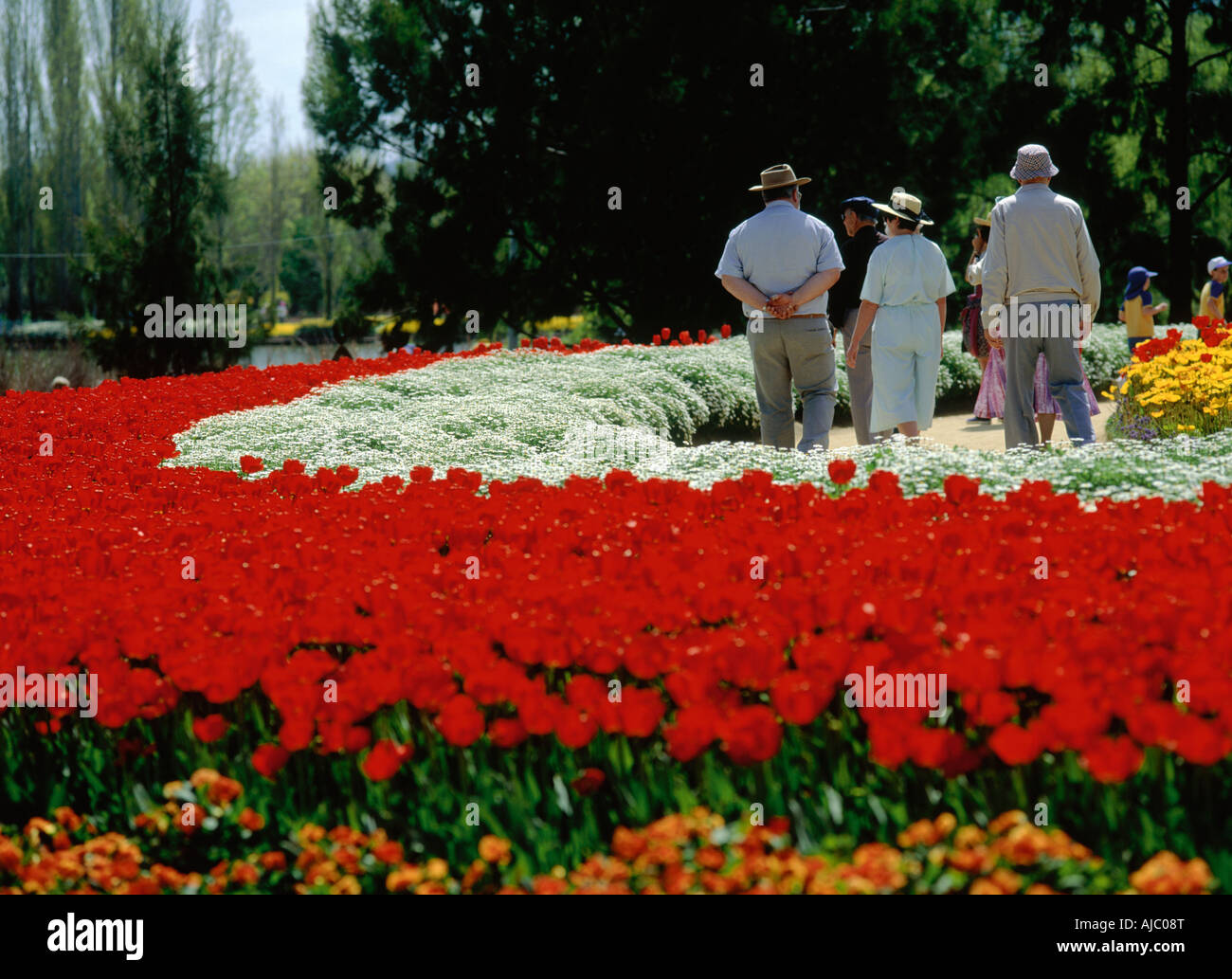 Floriade canberra hi-res stock photography and images - Alamy