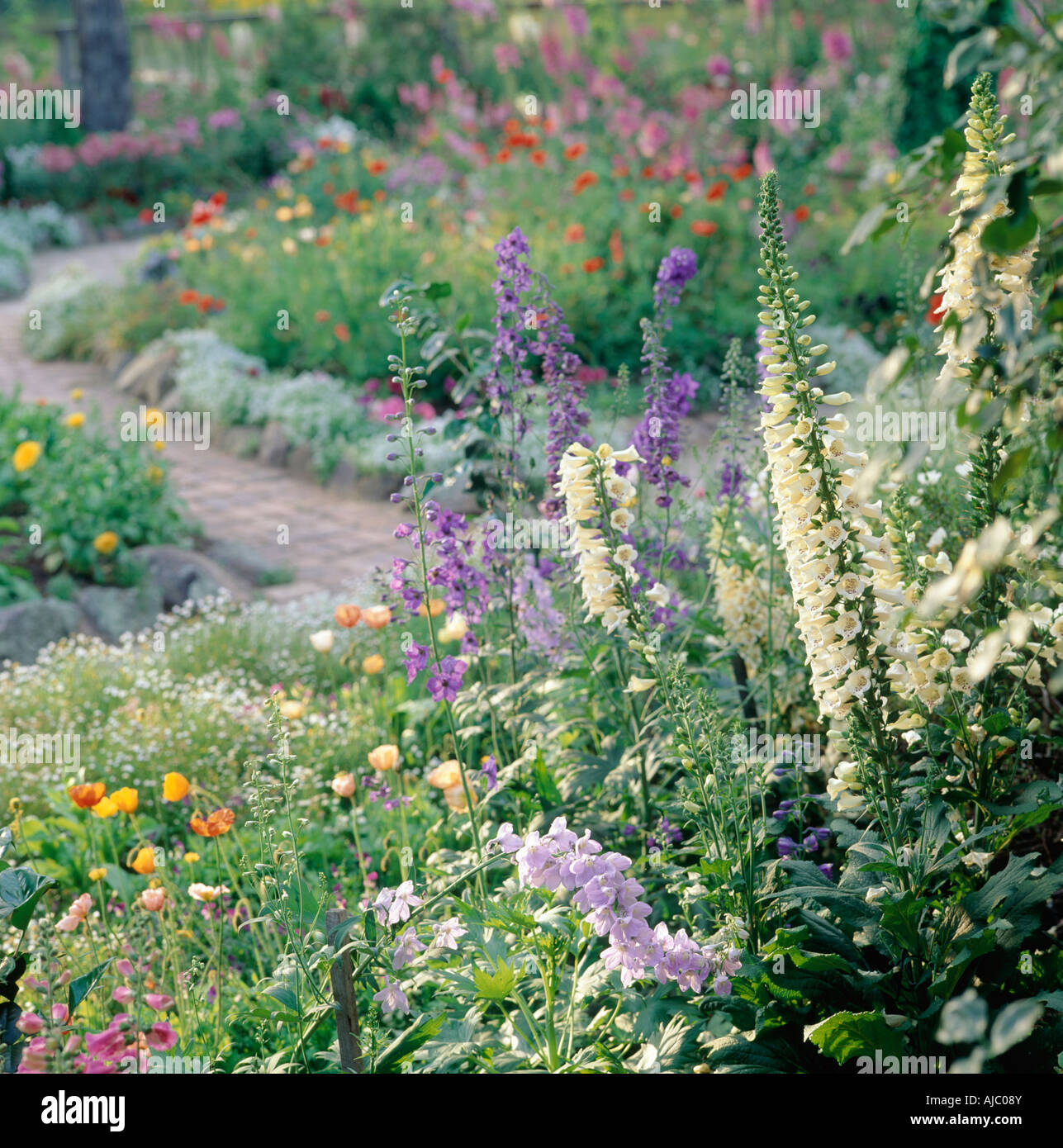 Generic pathway hi-res stock photography and images - Alamy