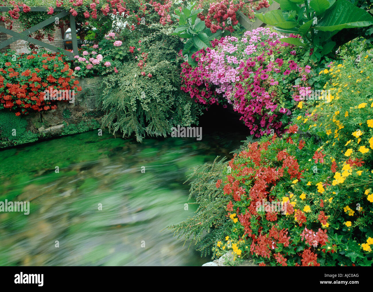 Colourful Flowers Above a Flowing Stream Stock Photo - Alamy