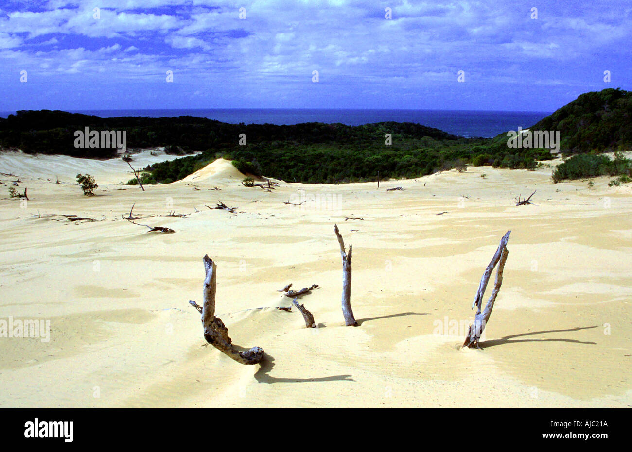 Ocean panoramas australia hi-res stock photography and images - Alamy