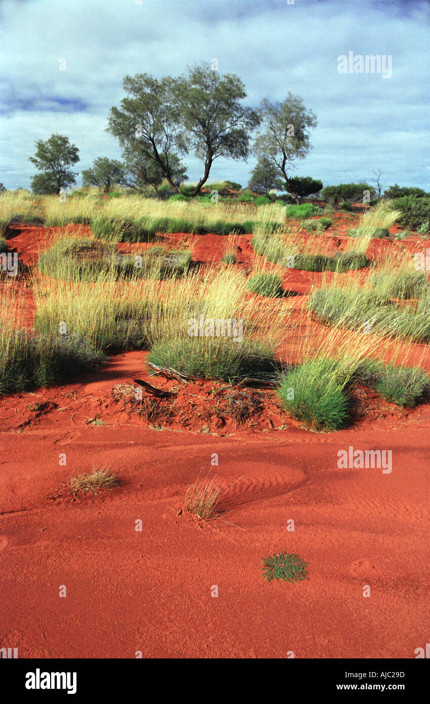Australia sporadic trees hi-res stock photography and images - Alamy