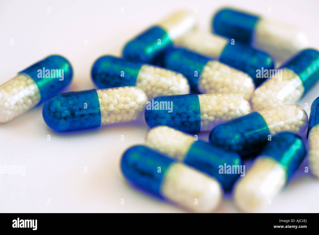 Close up photograph front Cut Out Stock Images & Pictures - Alamy