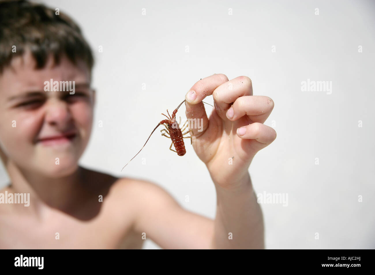 Young Boy Holding a Crayfish Between Fingers Stock Photo - Alamy