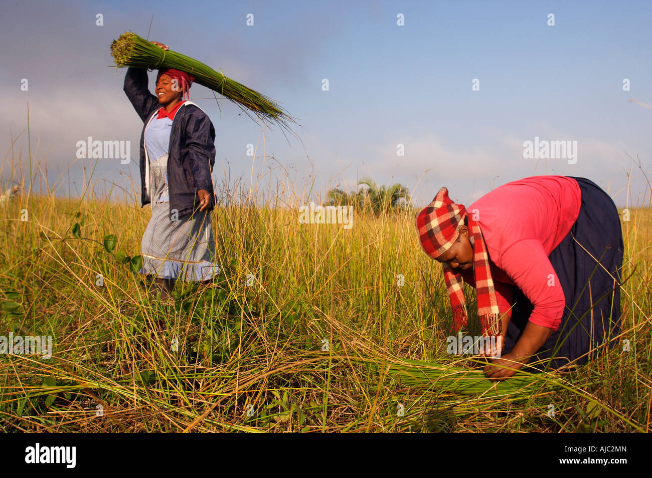 Photograph two women carrying hi-res stock photography and images - Alamy