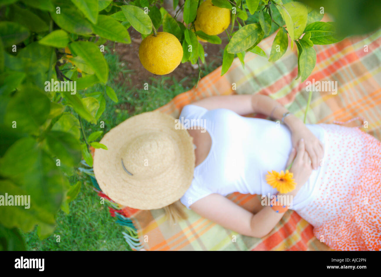 Young Woman Sleeping Under a Lemon Tree Stock Photo - Alamy