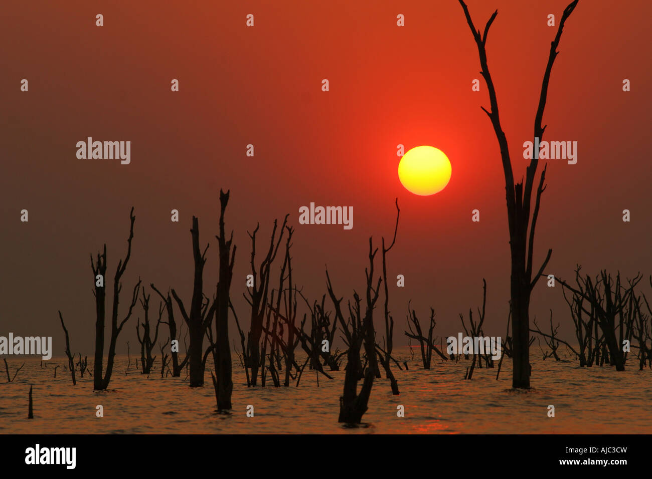 Dramatic sunset over Lake Kariba Stock Photo - Alamy