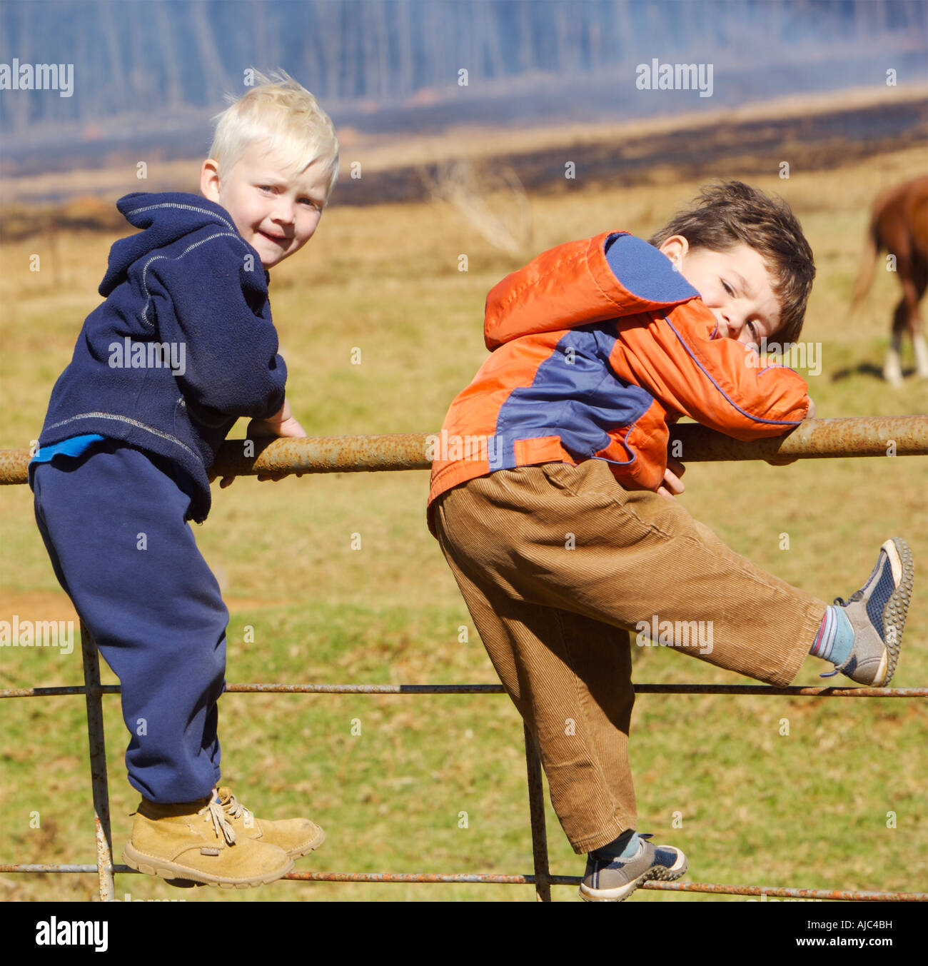 Two Young Boys Climbing Fence Stock Photo - Alamy