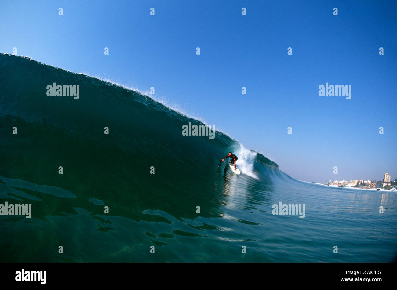 Surfer Riding the Perfect Wave Stock Photo - Alamy