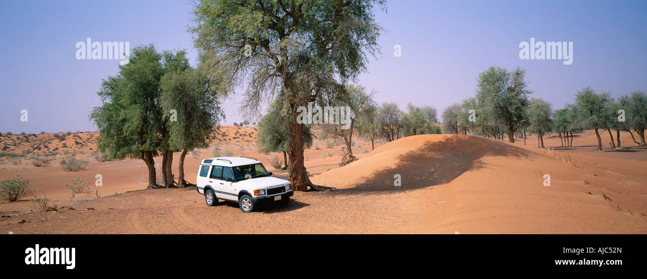 4X4 Vehicle Under a Desert Tree Stock Photo - Alamy