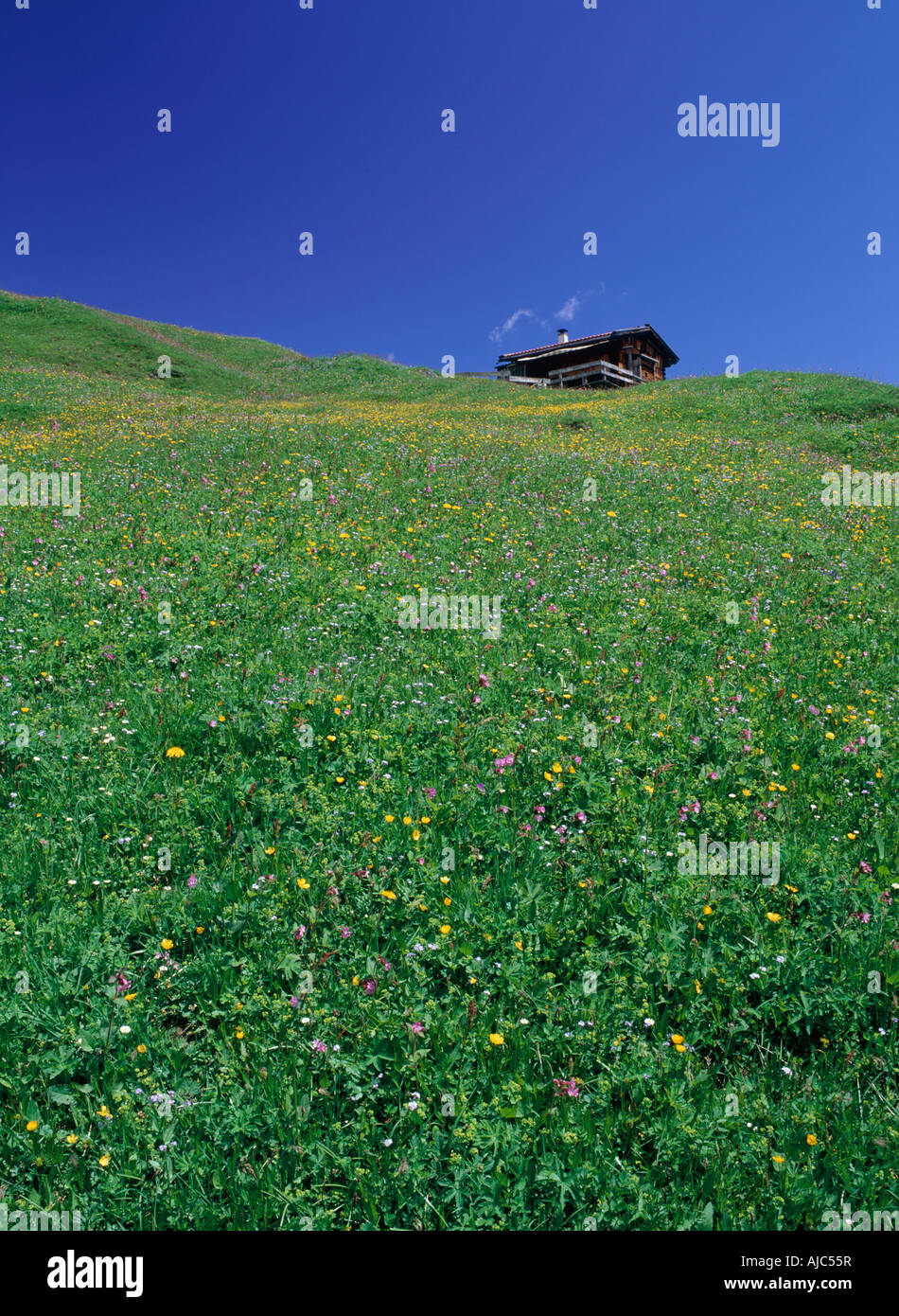 Log Cabin On Top Of Penken Mountain - Low Angle View Stock Photo - Alamy