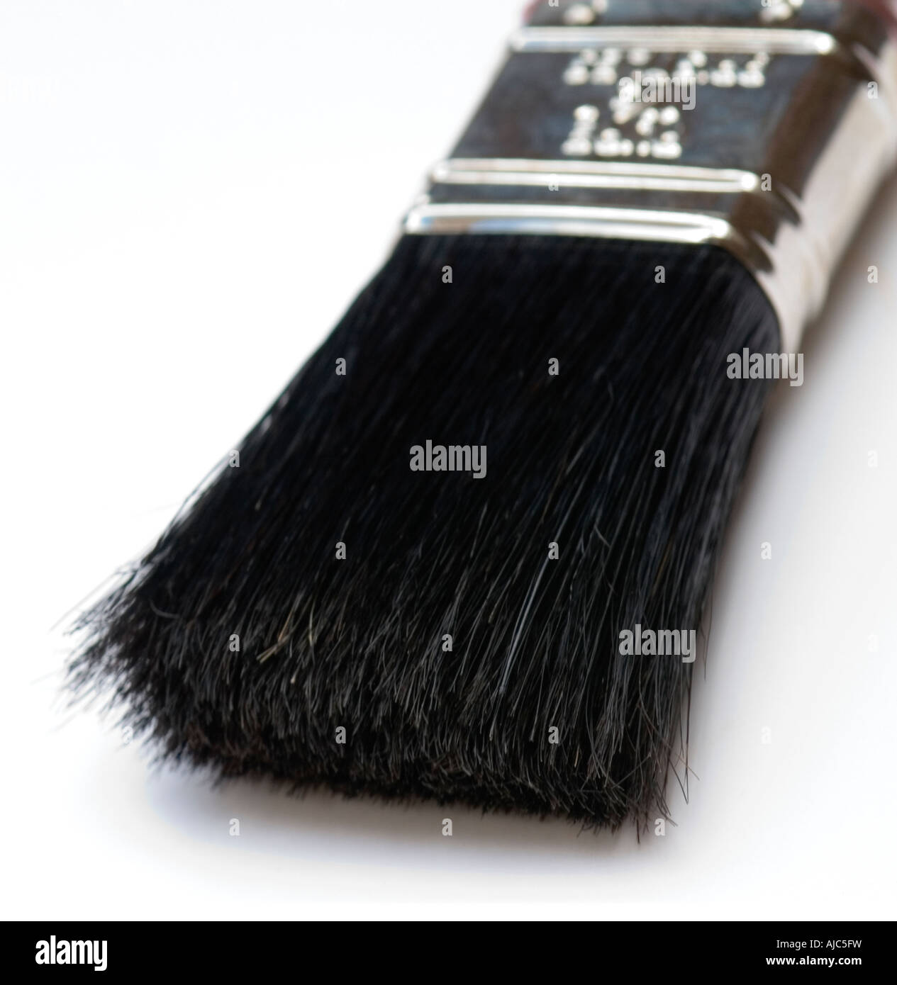 Estimate horse hi-res stock photography and images - Alamy