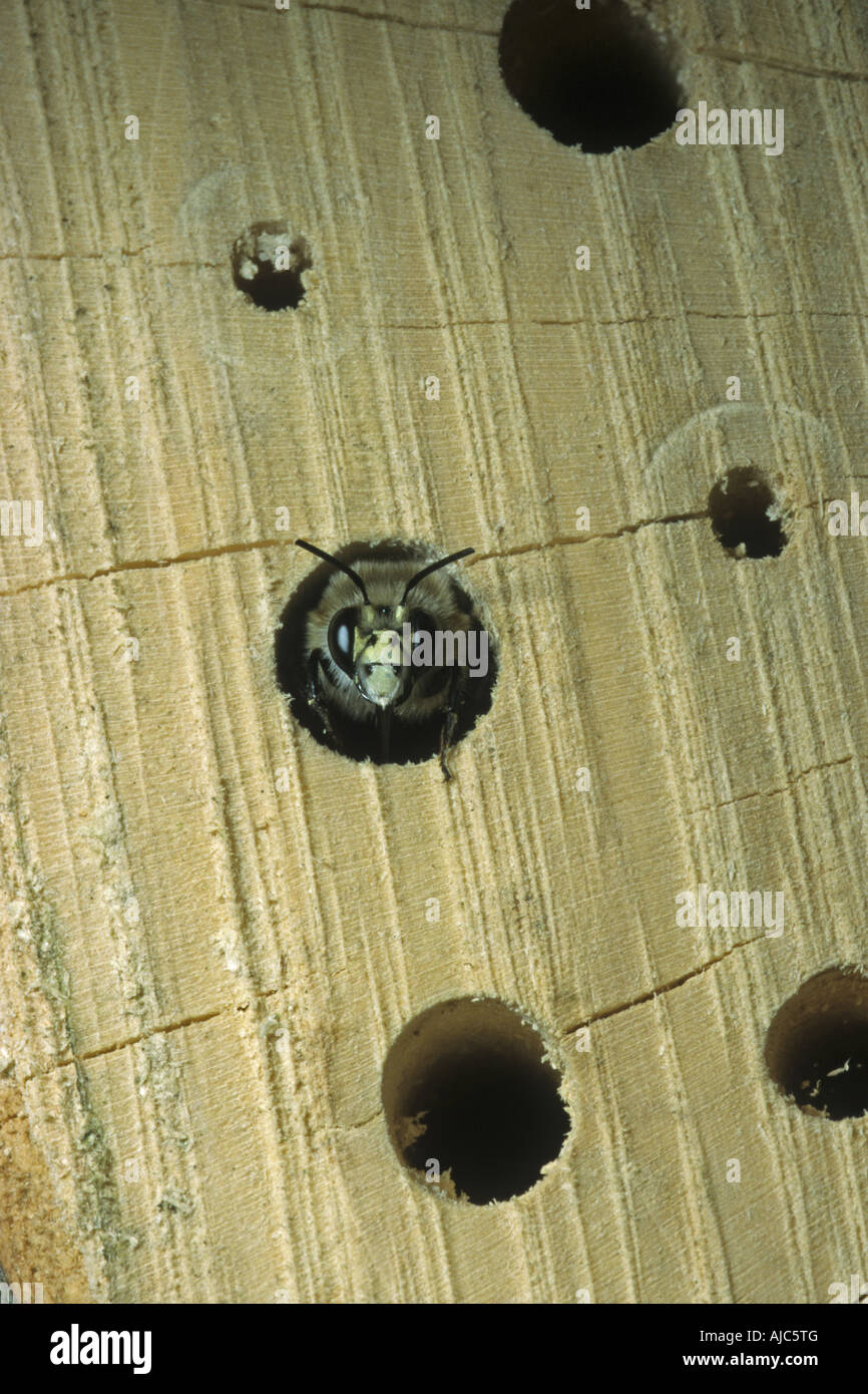 Bore hole hi-res stock photography and images - Alamy