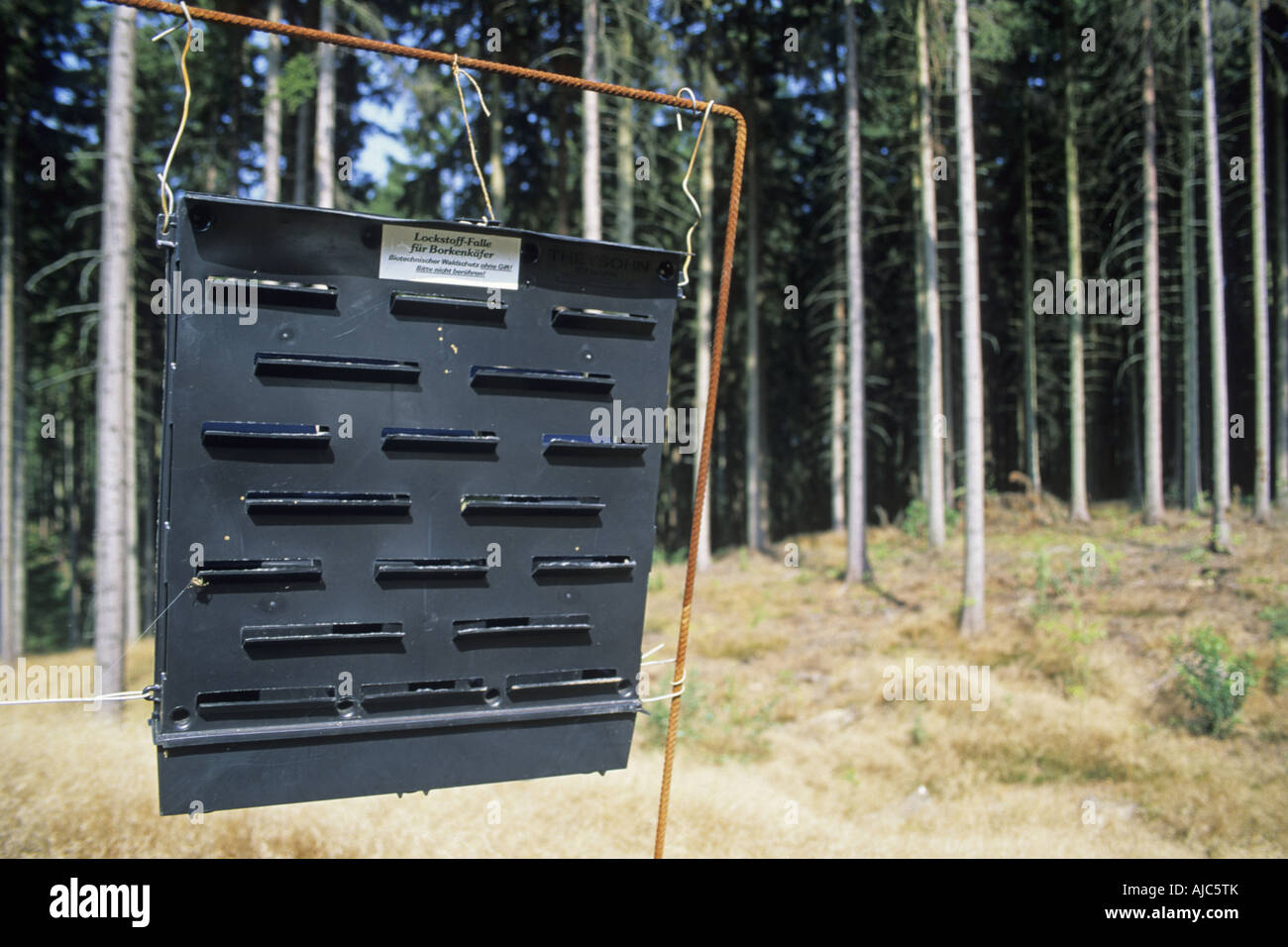 Bark beetle traps hi-res stock photography and images - Alamy