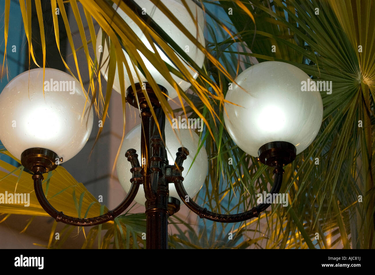 outdoor bulbous lamps on an ornate pillar with palm Tree fronds accross ...