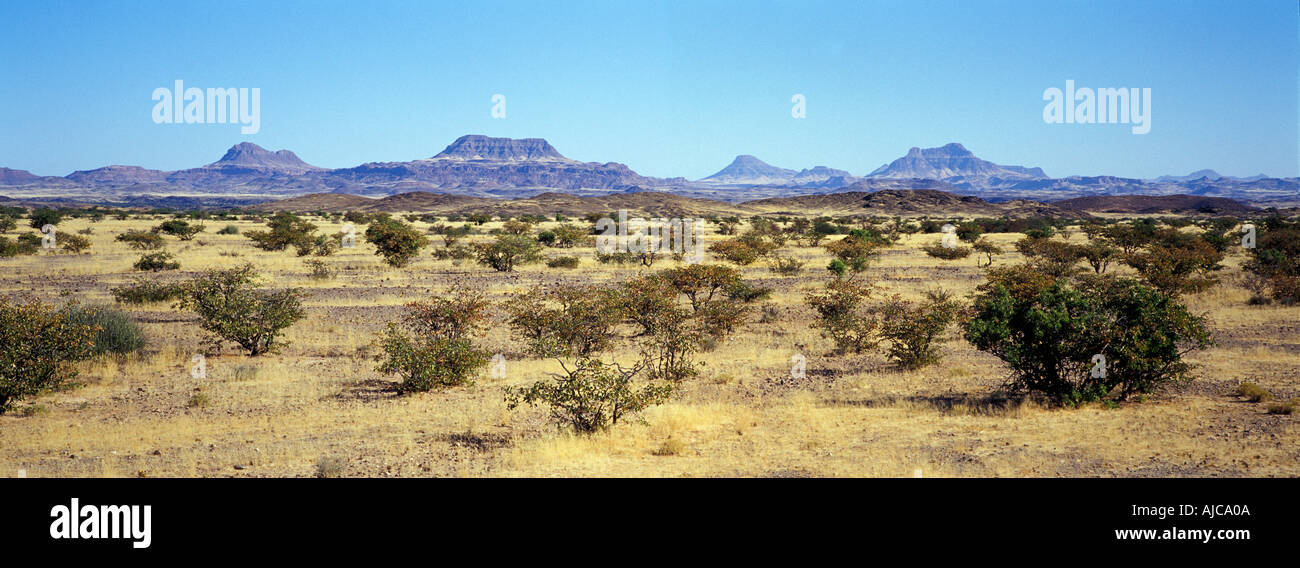 Namibia02527pan hi-res stock photography and images - Alamy