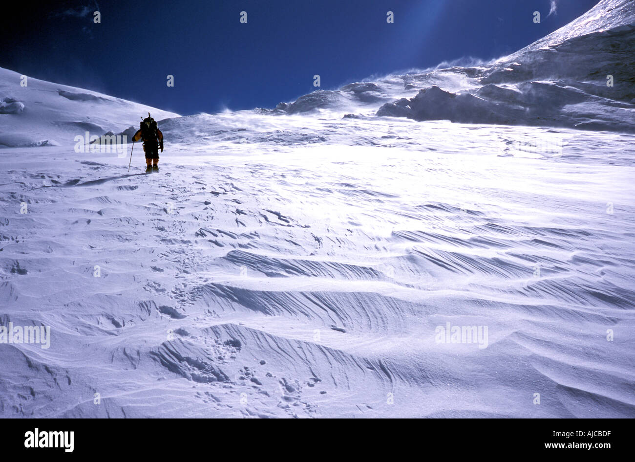 Ascent of ShishaPangma 8013 8046m Tibet The 14th Highest mountain in ...