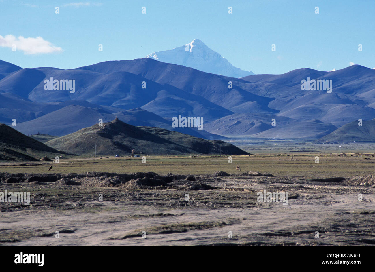 Ascent of ShishaPangma 8013 8046m Tibet The 14th Highest mountain in ...